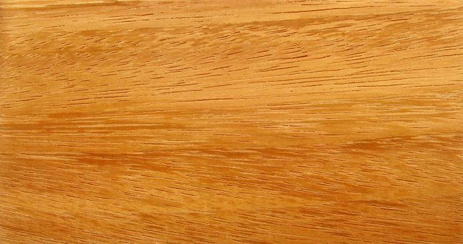 Precious Woods > timber species Doussie