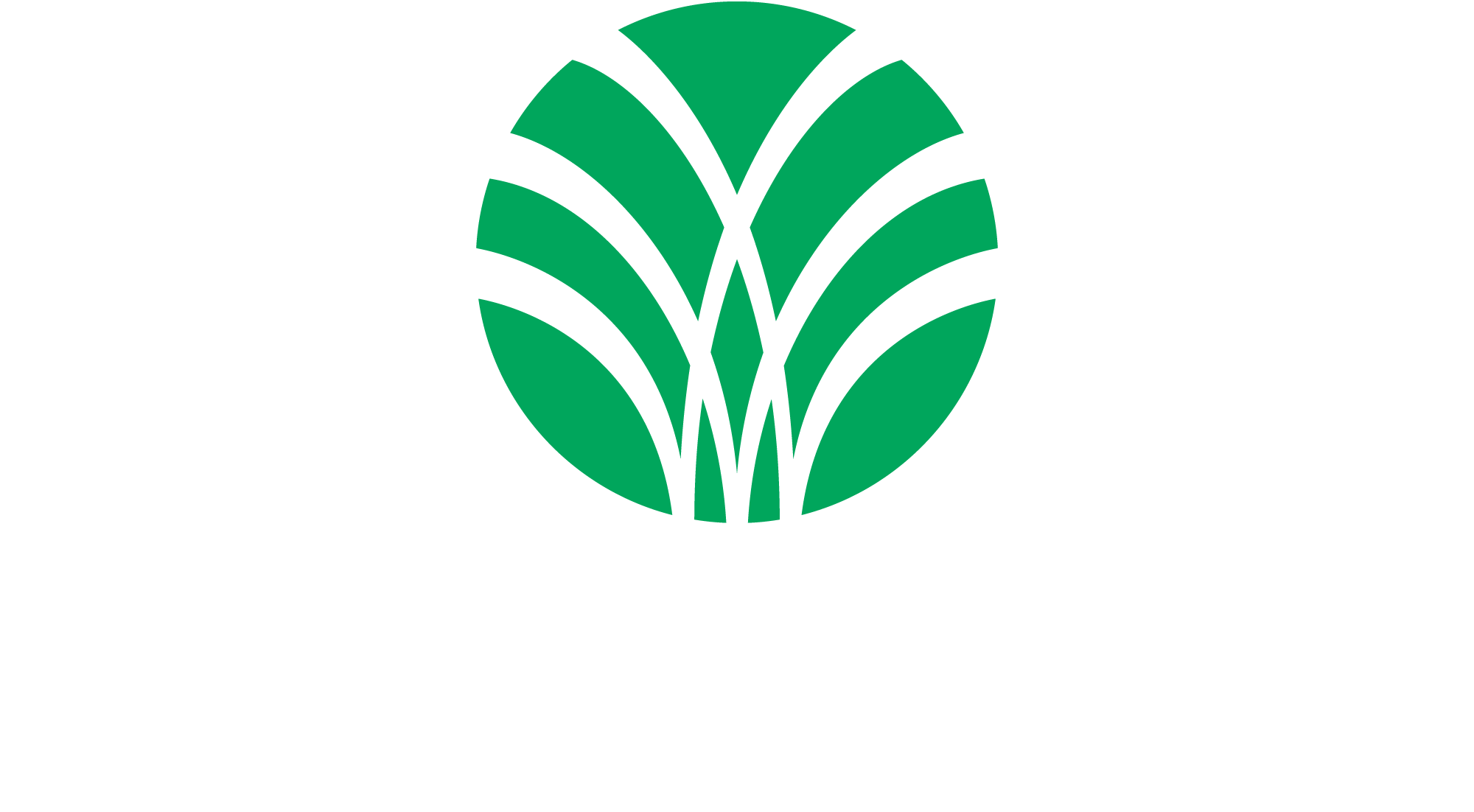 Precious Woods > Essences